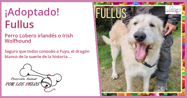 Por Los Pelos - Adopción de Fullus